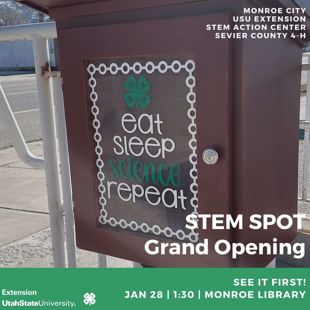 STEM Library addition - Monroe City